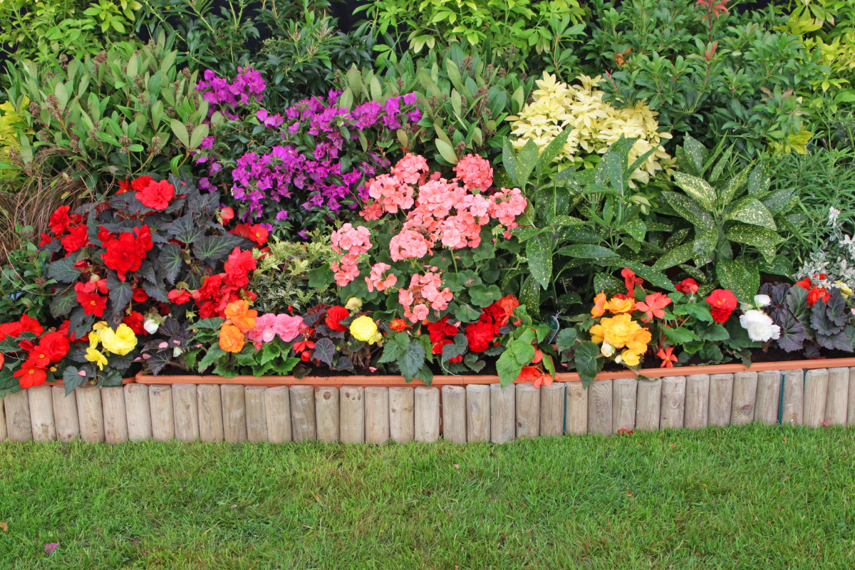 Five Tips to Save a Ton on Flowers And Plants - Lisa & Lisa Real Estate ...